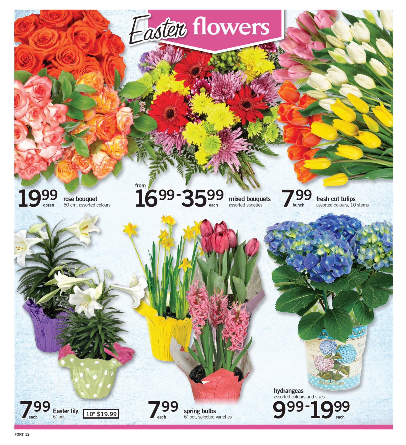 Fortinos Flowers Maple | Best Flower Site