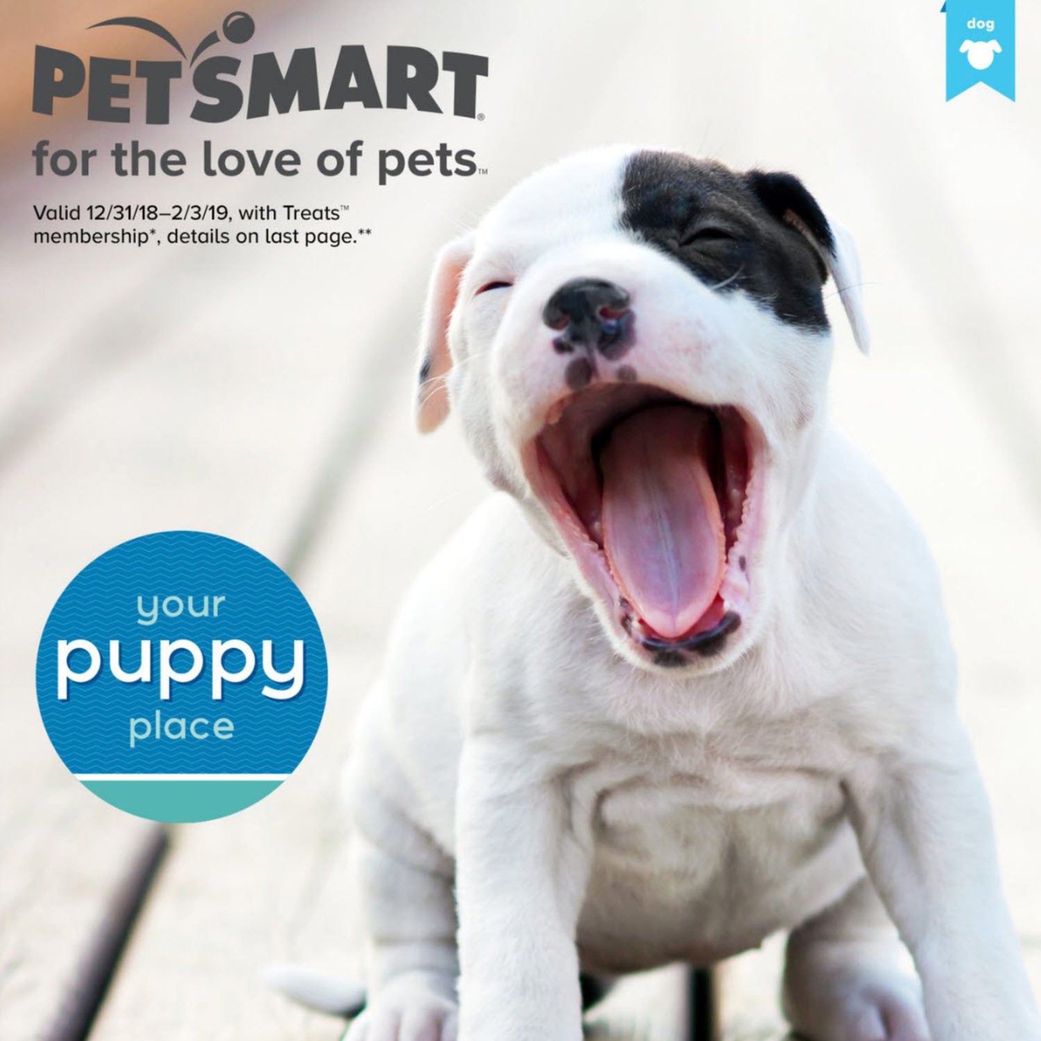 PetSmart Weekly Flyer - Treats Membership Only - For The Love Of Pets ...