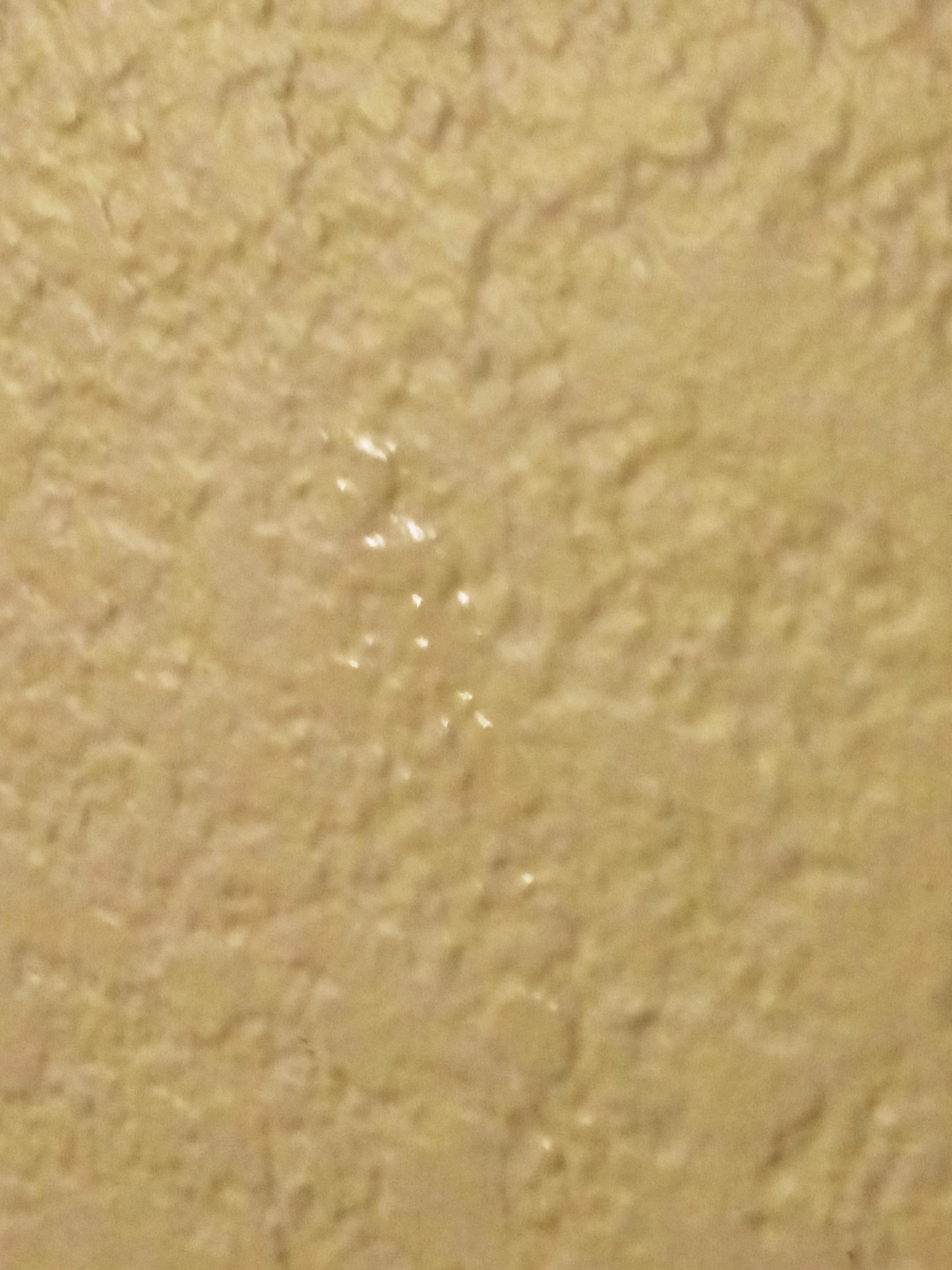 Yellow sap like substance on inside walls - Page 2 - RedFlagDeals.com ...