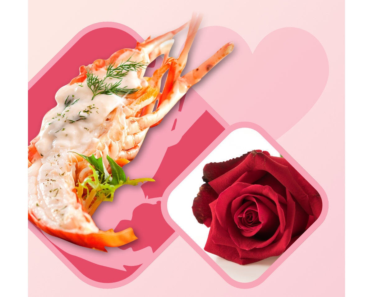 [Dragon Legend] Free half a lobster and a full rose on Valentine's Day ...