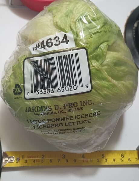 [Walmart] June 8 to 14: Absolutely Stock Up HOT Price! Iceberg Lettuce ...