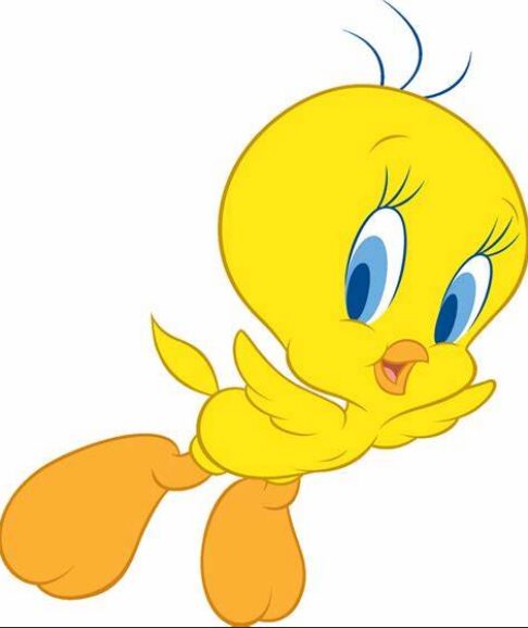 [Sporting Life] Arc'Teryx Cerium Jacket (Men's Large) - 50% off ...