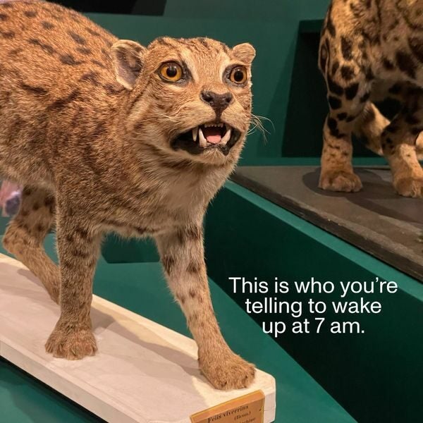 [Royal Ontario Museum] Toronto - October 5. ROM free admission for Nuit ...