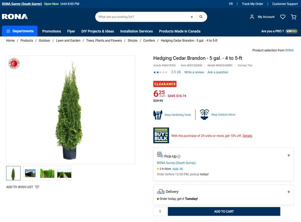 [Rona] Hedging Cedar Tree $6.25 Ea (Reg $24.99) - RedFlagDeals.com Forums