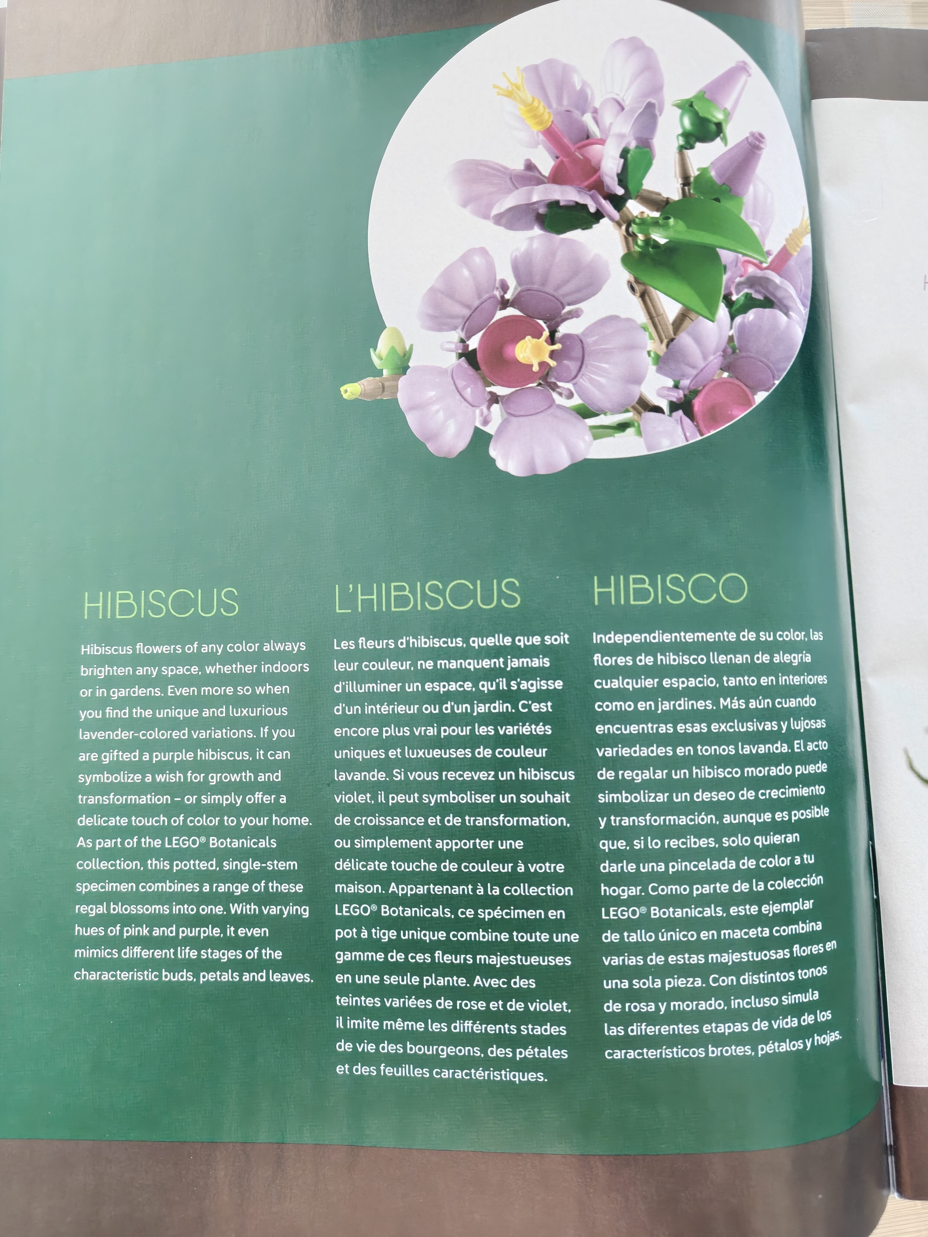 [Costco] Lego Hibiscus $50 YMMV - RedFlagDeals.com Forums