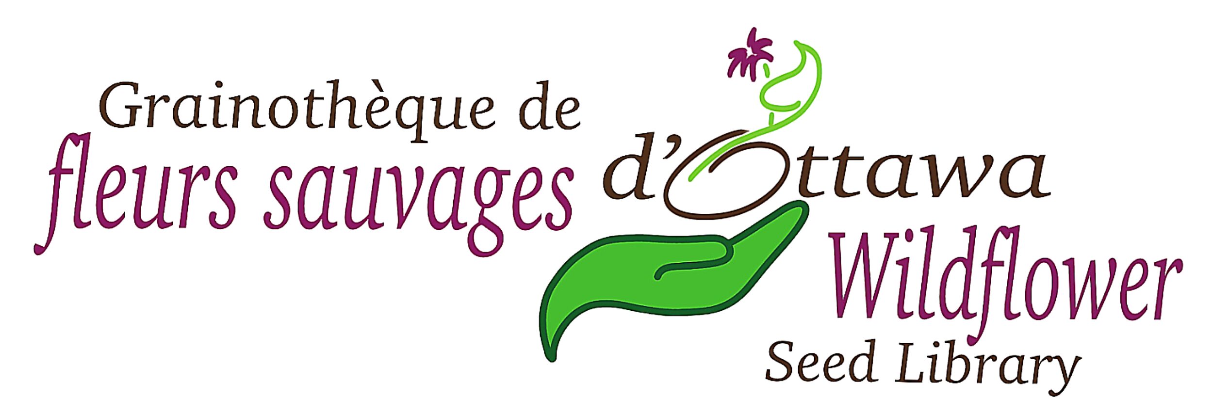 [Ottawa Wildflower Seed Library] FREE wildflower seeds & FREE delivery ...