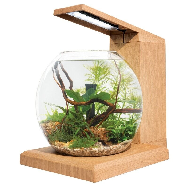 [Southwest Pets] Fluval LIV Microscaping Aquarium Kit $77.50 *not ...